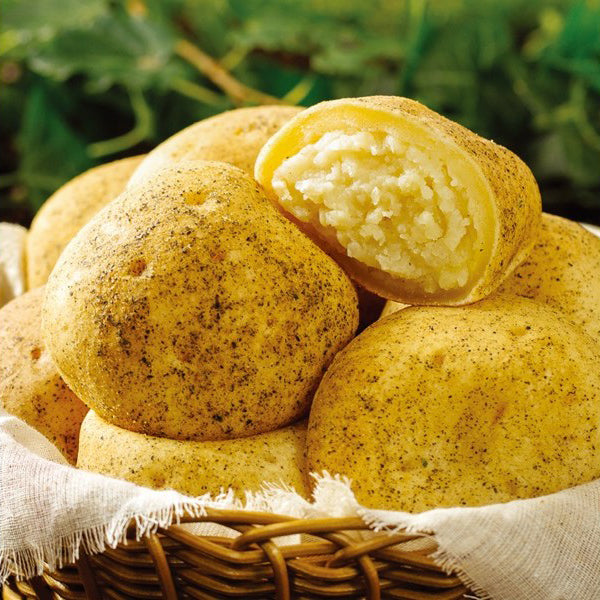 RESTOCKED💖 SYDNEY ONLY🚛 진짜 구황작물 빵 시리즈 Real Bread (Sweet potato/Potato ...